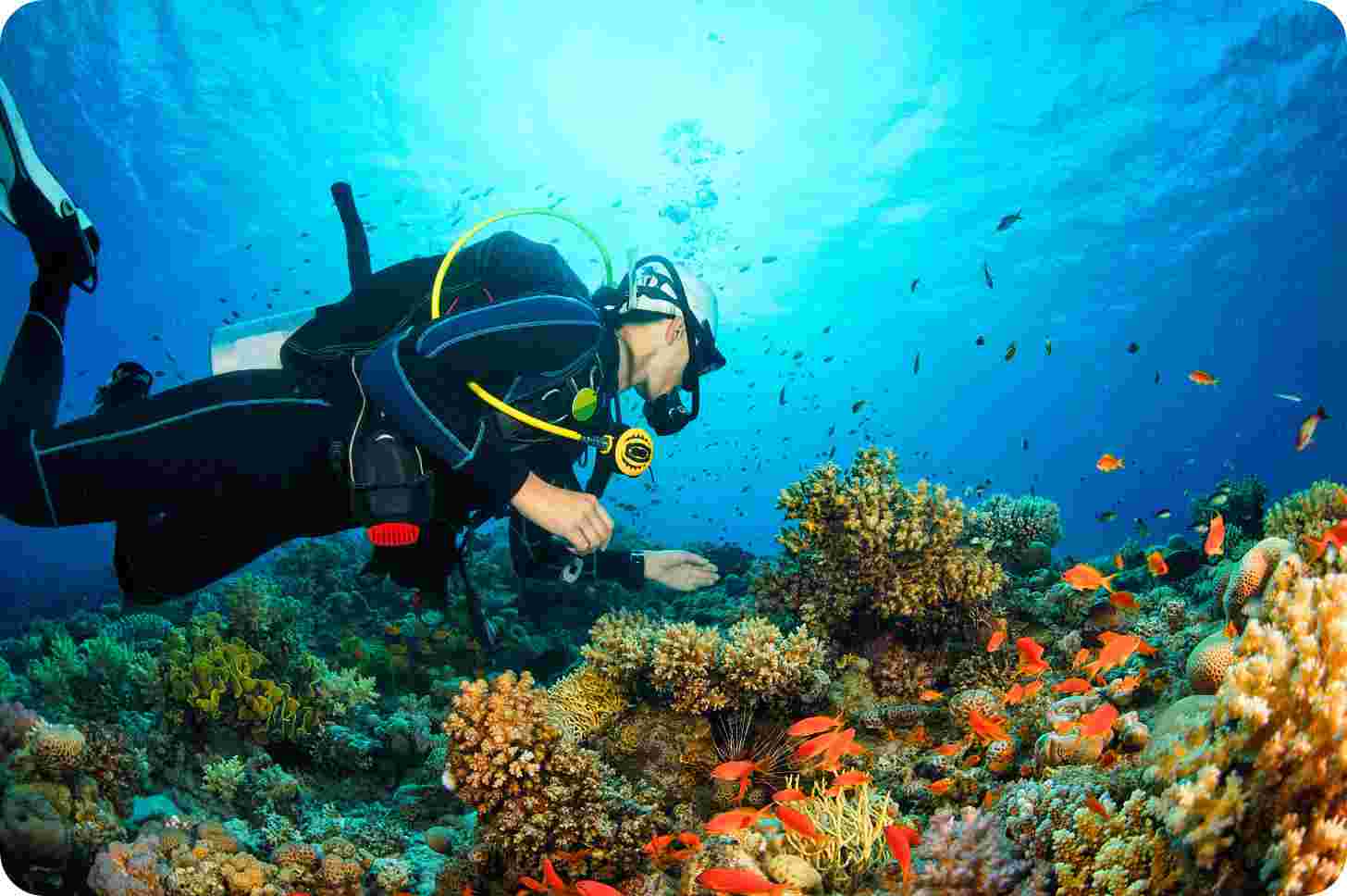 10 Influencer Diving Paling Populer di Indonesia - KOL.ID